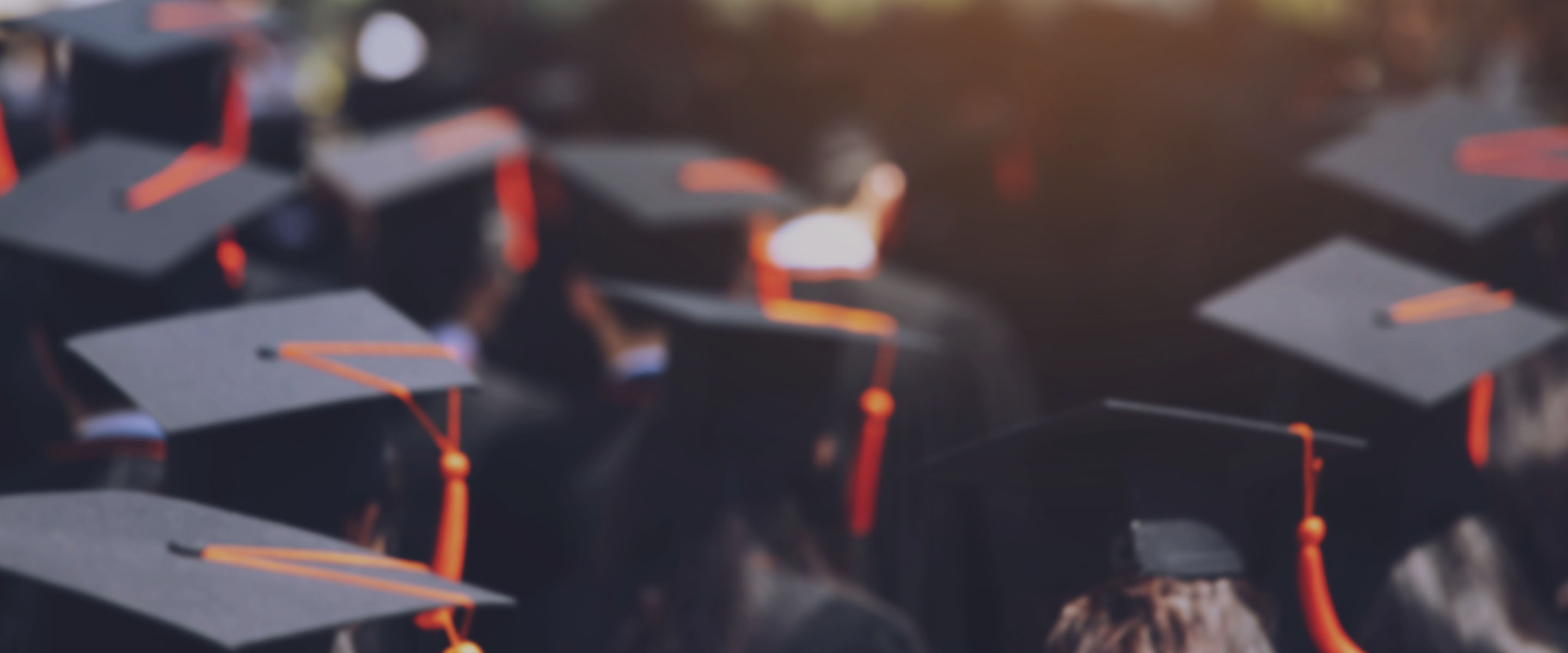 Tseng College at CSUN | Continuing Education Programs